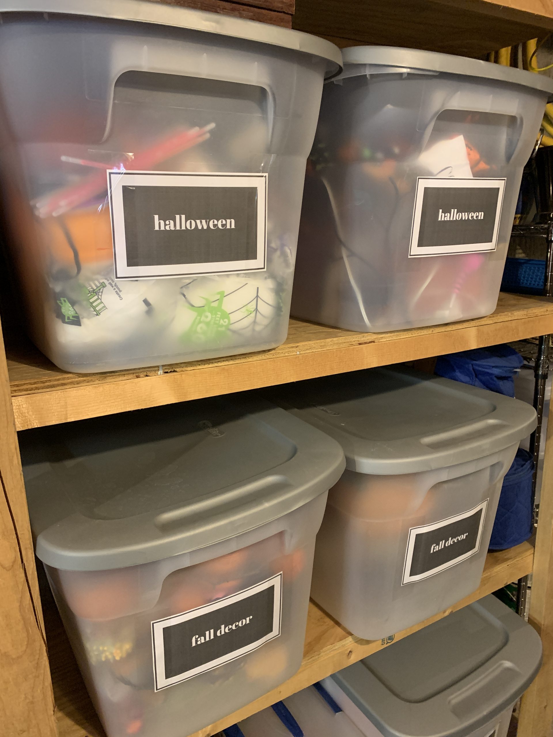 How to Organize Your Basement in 6 Easy Steps - Livable Solutions